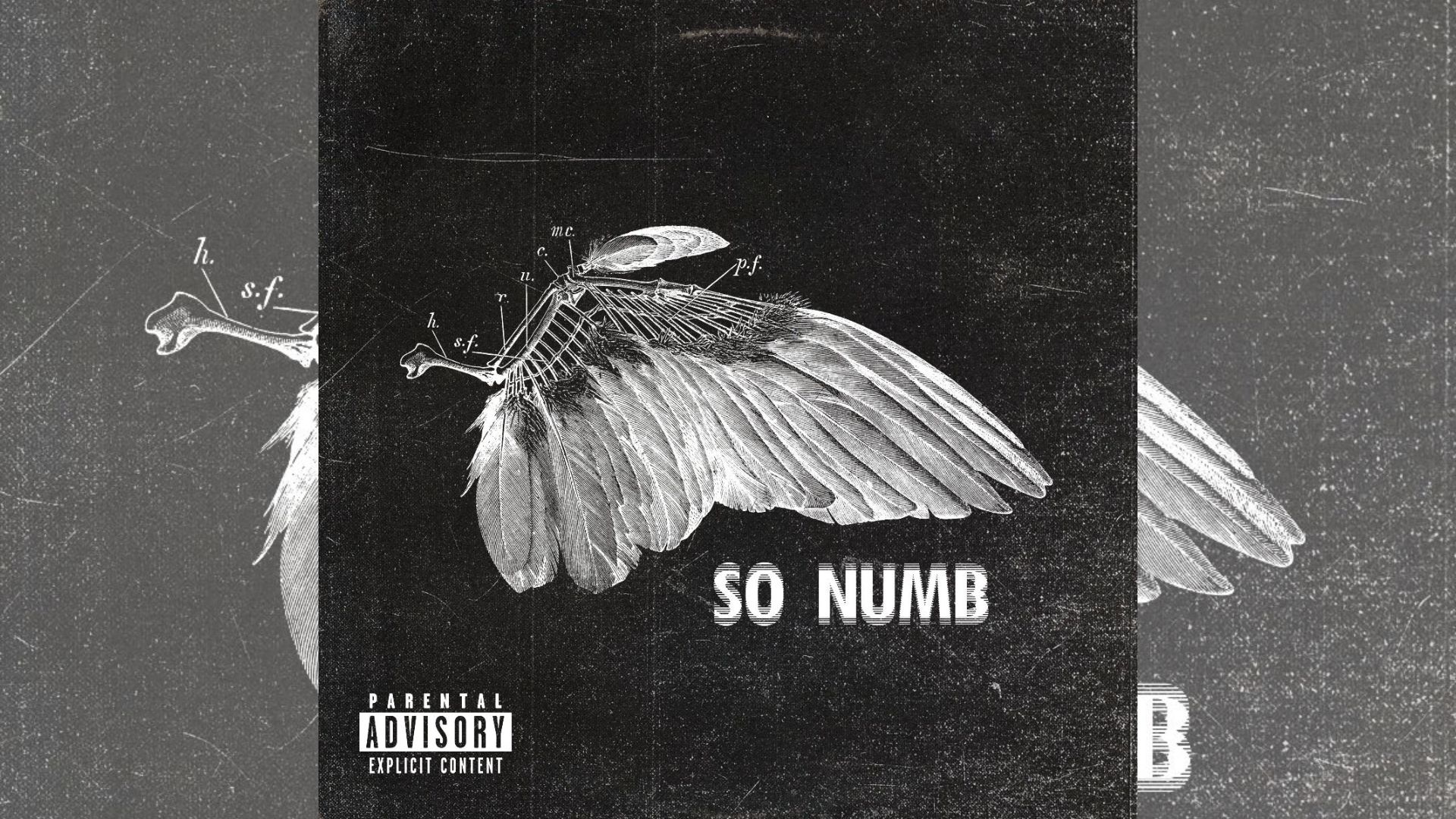 TX2 Unveils Harrowing Track "So Numb"