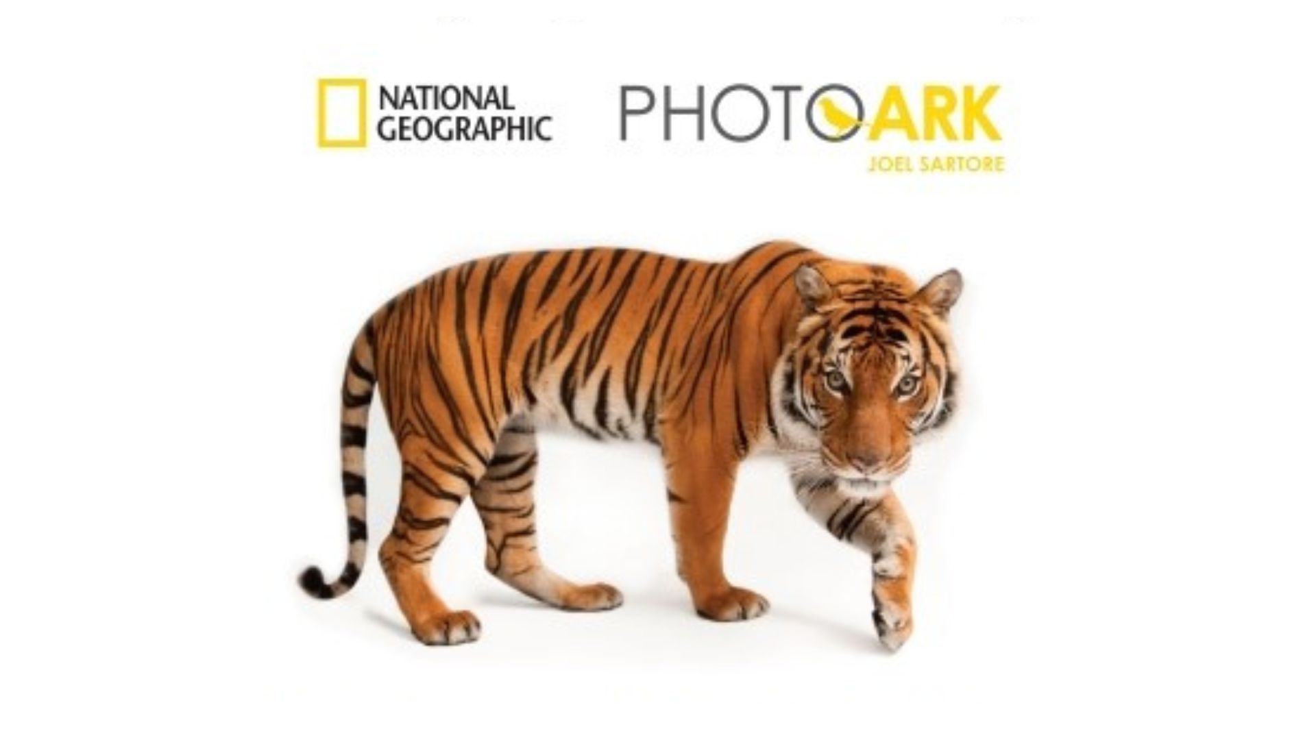 นิทรรศการ National Geographic Photo Ark โดย โจเอล ซาร์ทอรี